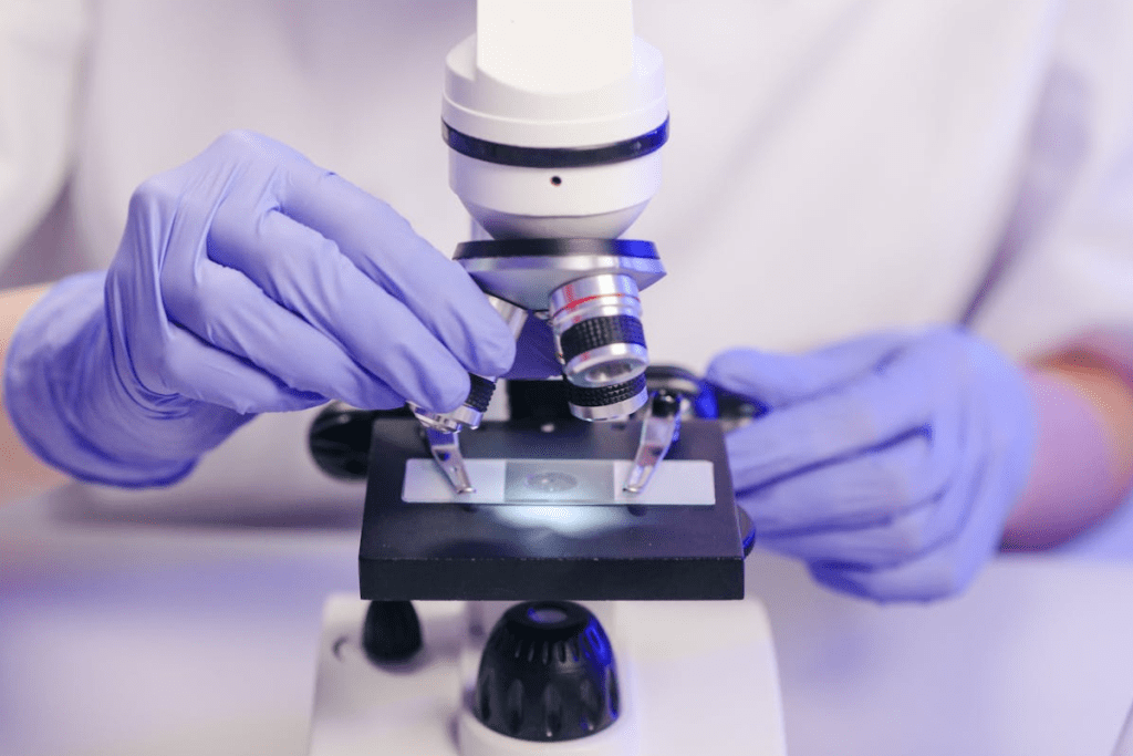 Stem Cell Activation: How to Boost Your Body's Healing Power - Liv Hospital