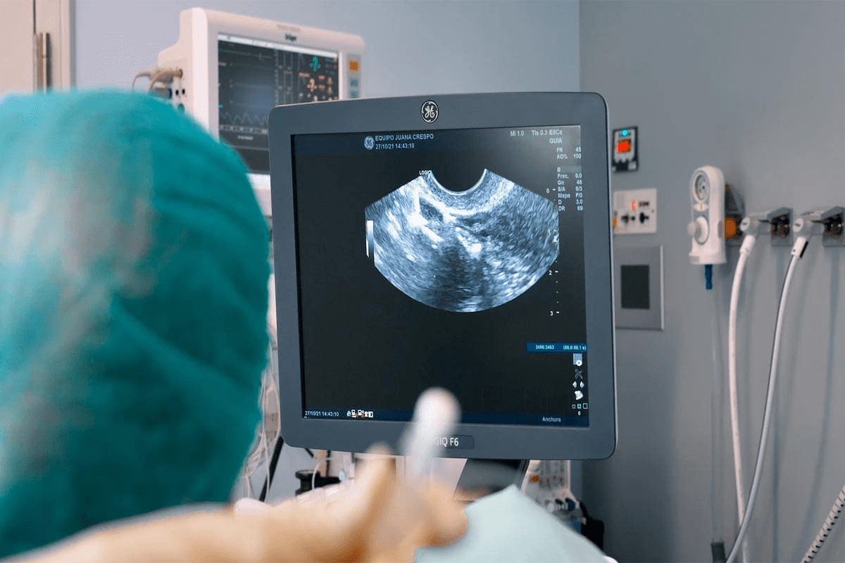 Visual Guide: What Does a Good Embryo Look Like for Transfer? - Liv ...