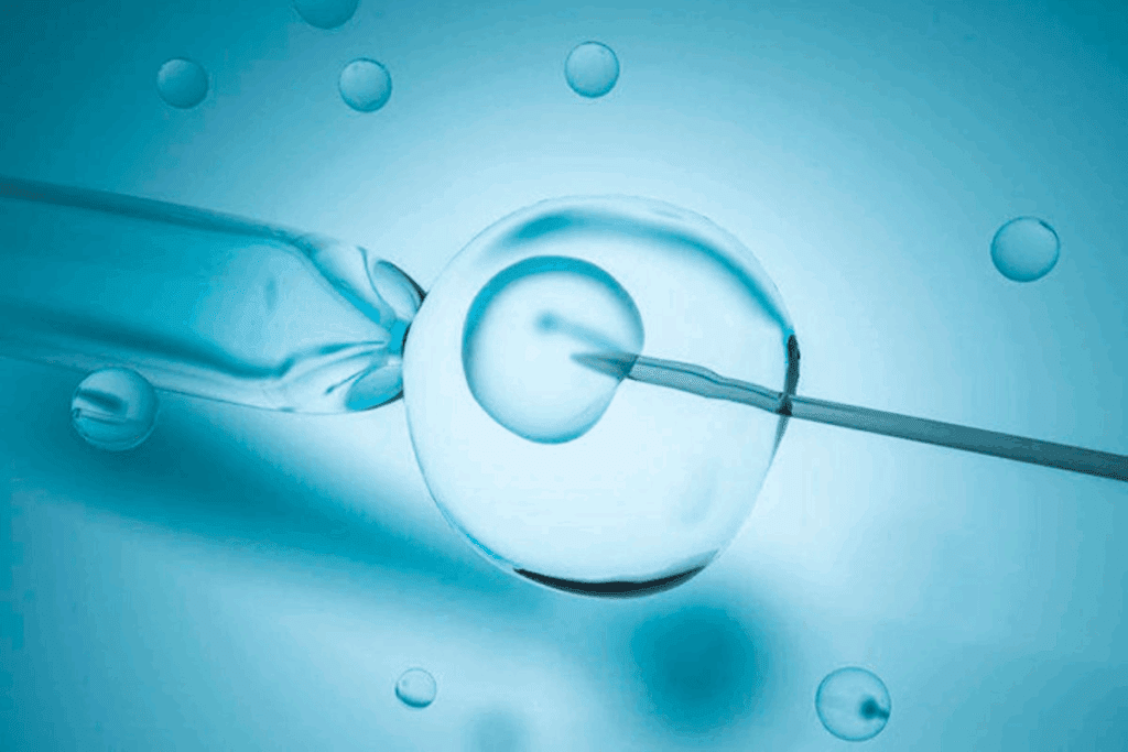 Understanding the average number of ivf cycles to Conceive - Liv Hospital
