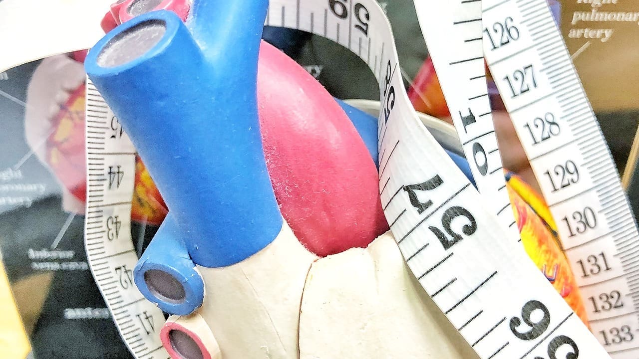 OCT-9419-Normal Valve Area: Key Measurements, Gradients, and Stenosis ...