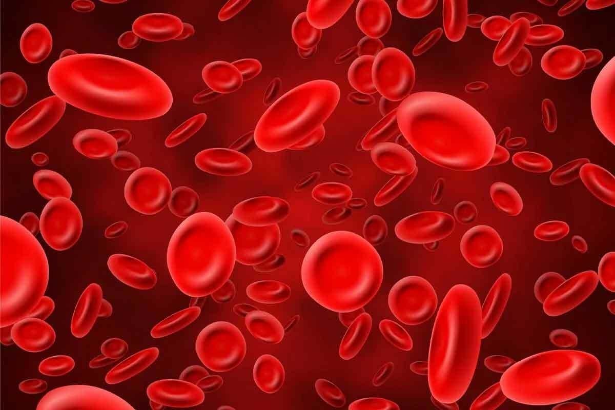 Mild vs Moderate Anemia: 9 Key Facts, Hemoglobin Levels & Long-Term ...