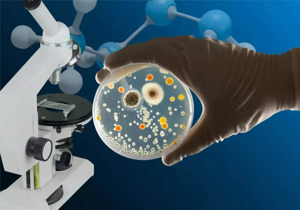 Chemo Man Drawing Guide: 7 Key Features Every Chemoman Needs