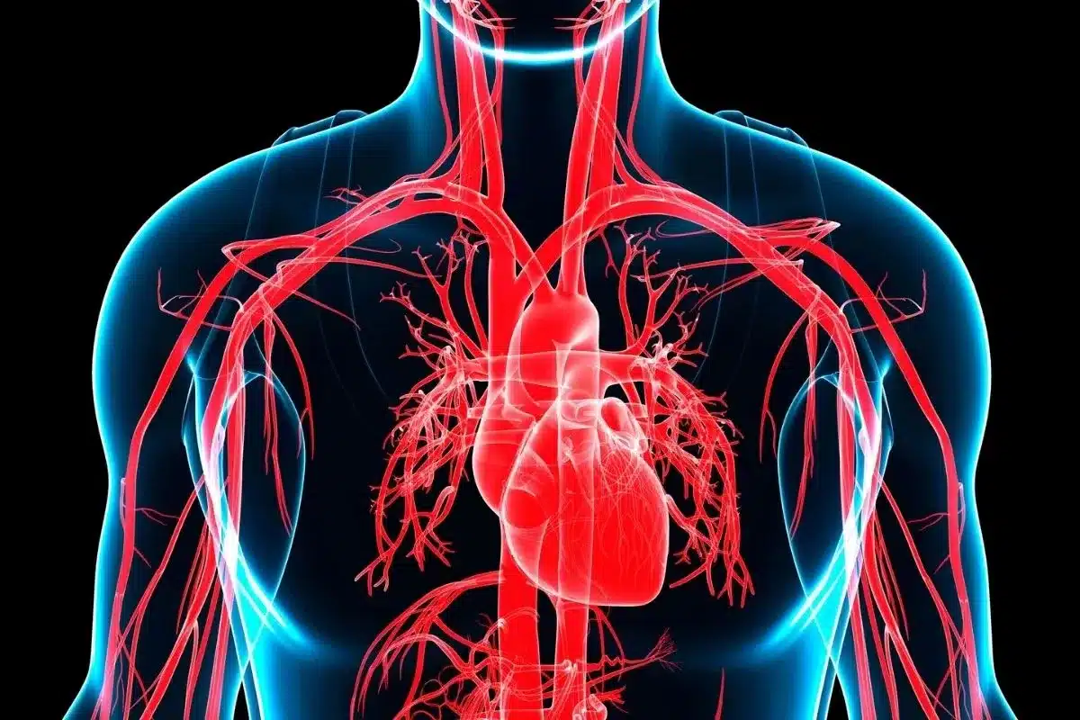Positive Atrial Fibrillation Resolution Prognosis - Liv Hospital